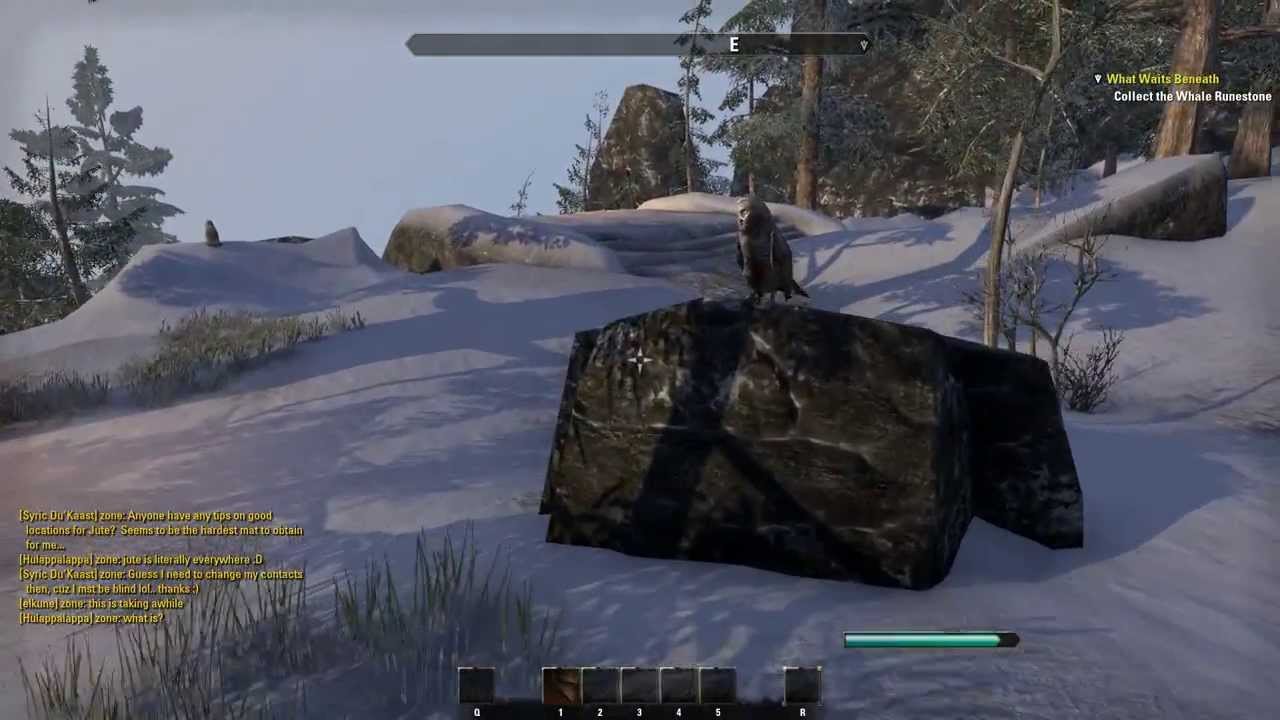 ESO: I found the owl!
