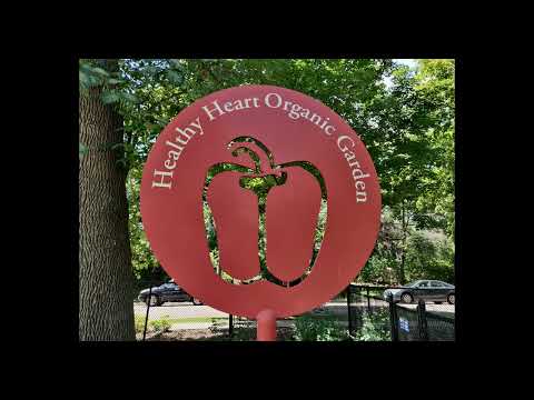 Minneapolis, Minnesota - The Bakken Museum 1