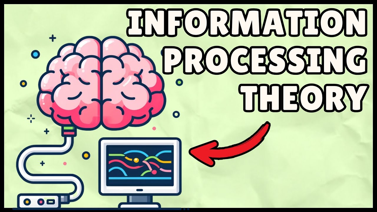 Information Processing Theory - Easiest Explanation