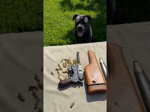 9mm Mauser C96 Review