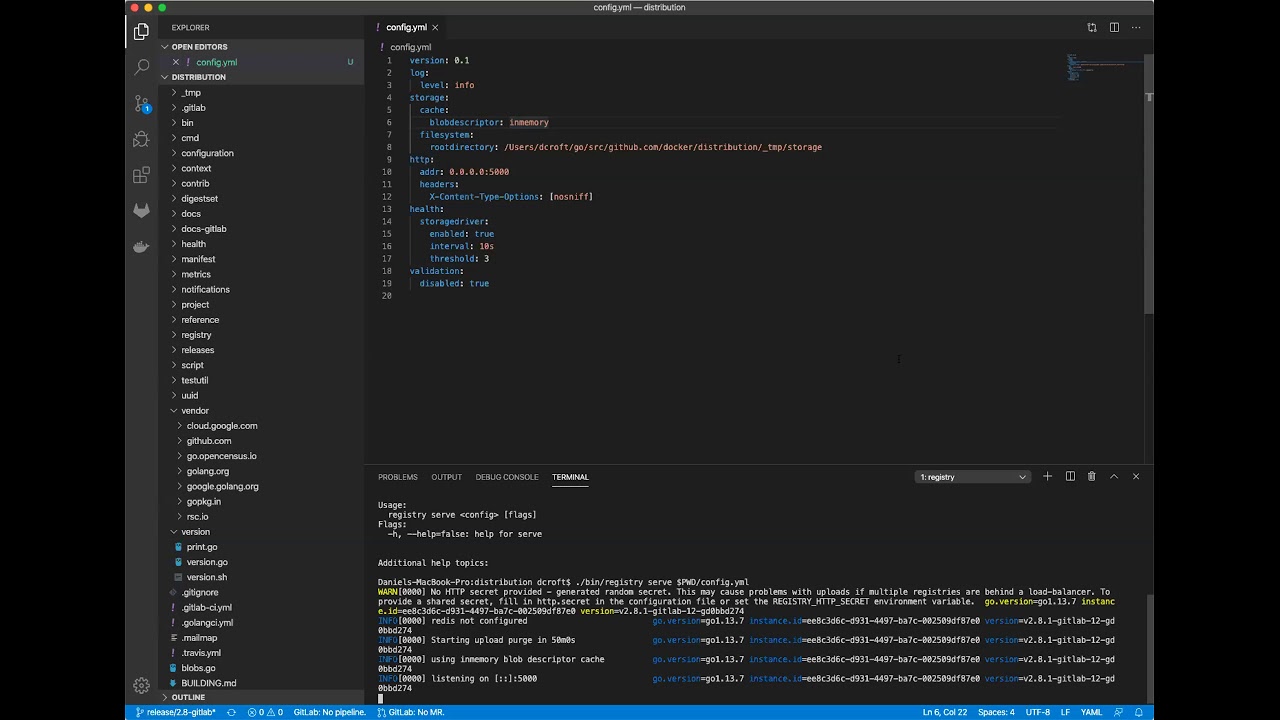 Getting started with GitLab Container Registry development
