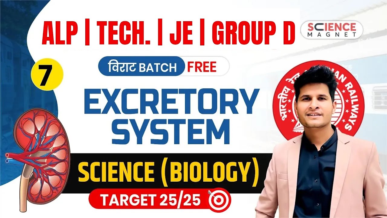 Understanding the Excretory System: A Comprehensive Guide for Class 7 ...