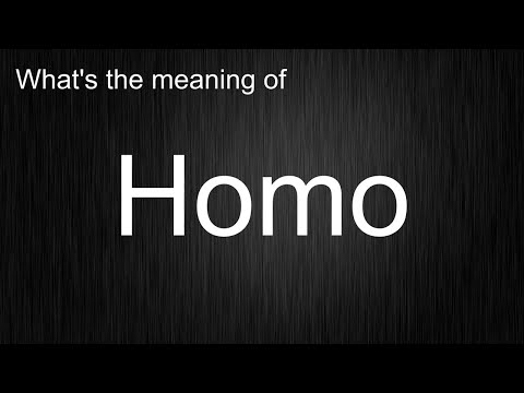 The Last "Homo" Meaning and Pronunciation Video You'll Ever Need to Watch