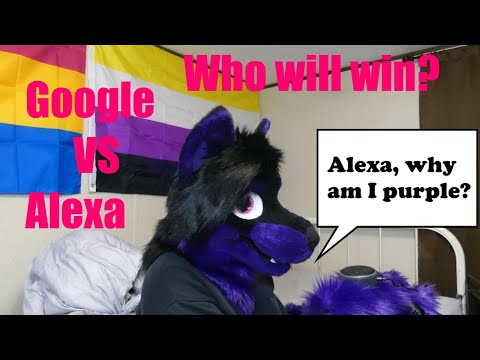 Asking Alexa And Google Furry Questions
