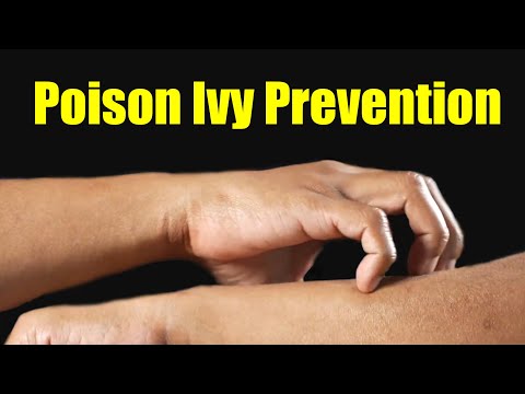 Poison Ivy Survival Guide – Part 4 - Poison Ivy Rash Prevention