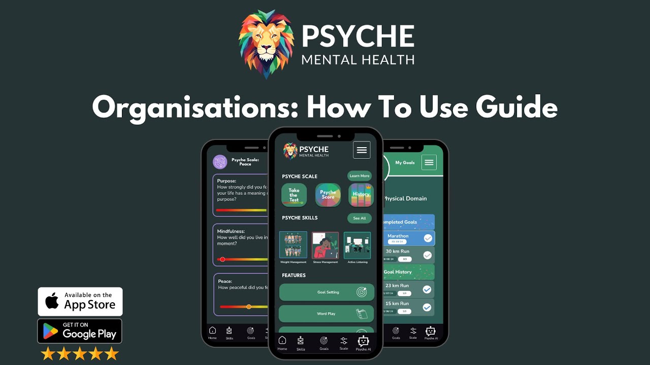 Organisational Tutorial: How to Use Psyche Innovations