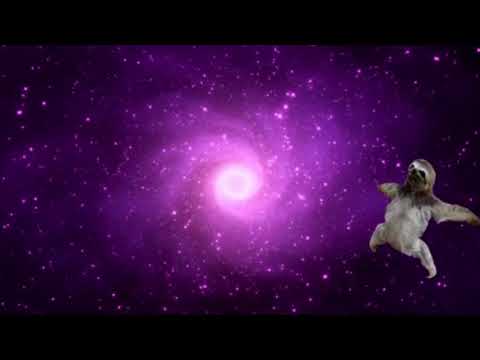 Sloth in Space