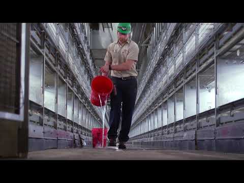 Herbruck's Poultry Farm