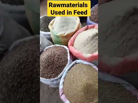 De Oiled Rice Bran - Dorb Latest Price, Manufacturers & Suppliers