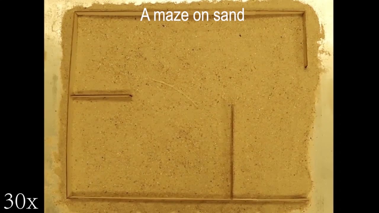 “Brainless” Soft Robot Navigates Complex Environments in Robotics ...