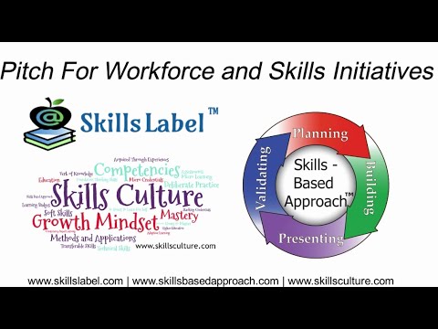 A Pitch to Workforce and Skills Initiatives | Skills Based Approach