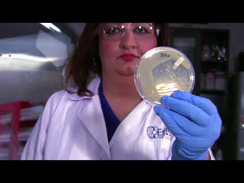 Minimum Inhibitory Concentration (MIC) Testing Overview