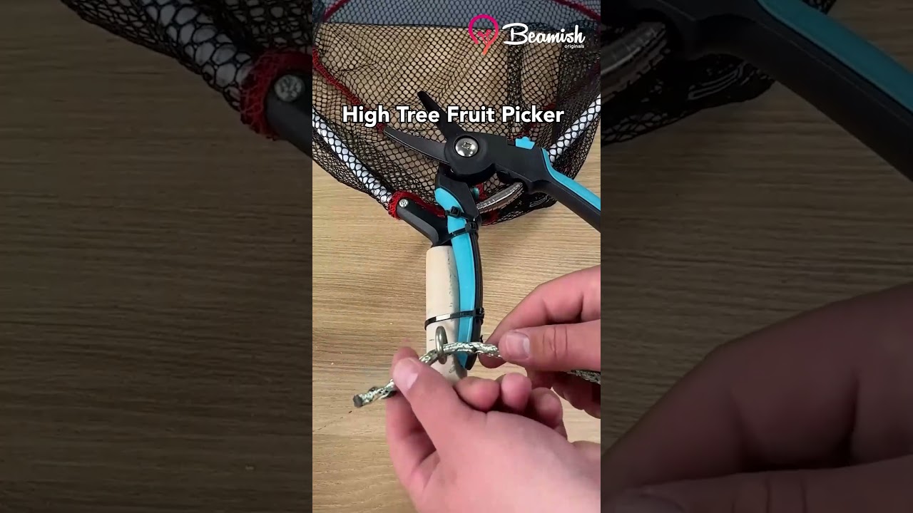 DIY High Tree Fruit Picker #diy #tree #fruit