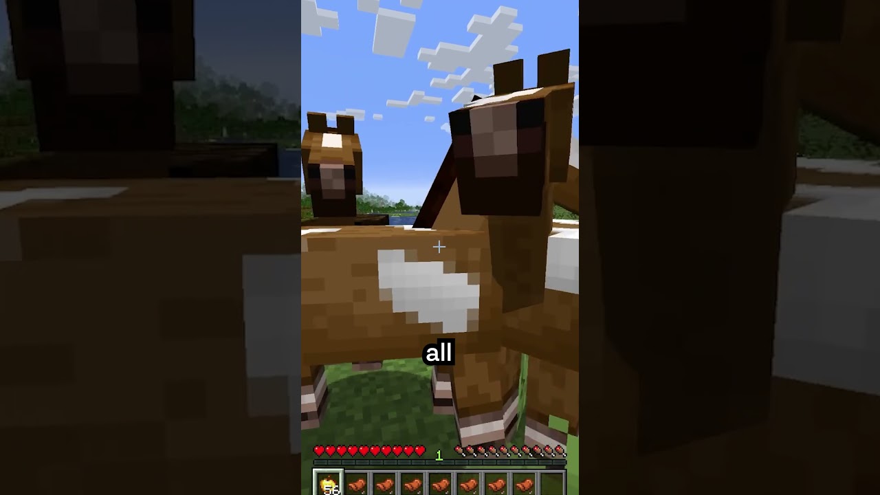 Minecraft tutorials, guides, server - Scalacube