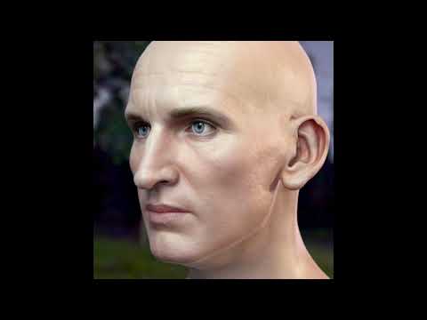 3d model Christopher Eccleston head