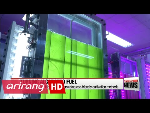 Algal bloom in Korea presents both crisis and opportunity