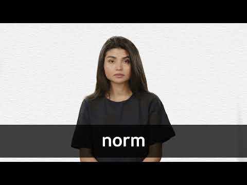 NORM definition and meaning | Collins English Dictionary