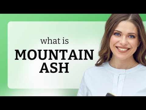 Mountain ash • meaning of MOUNTAIN ASH