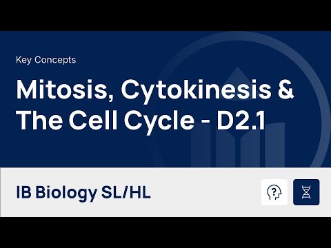 Mitosis, Cytokinesis & The Cell Cycle [IB Biology SL/HL]
