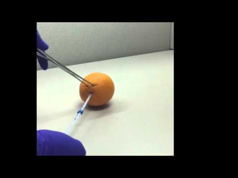 Liletta IUD Insertion Guide Video