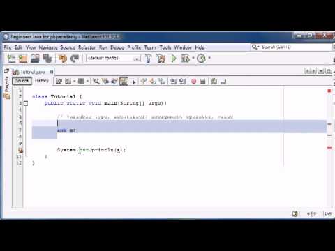 Learn Java Tutorials | Variables - Mind Luster
