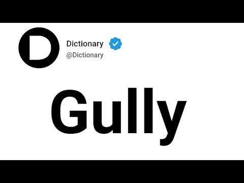Gully Meaning In English