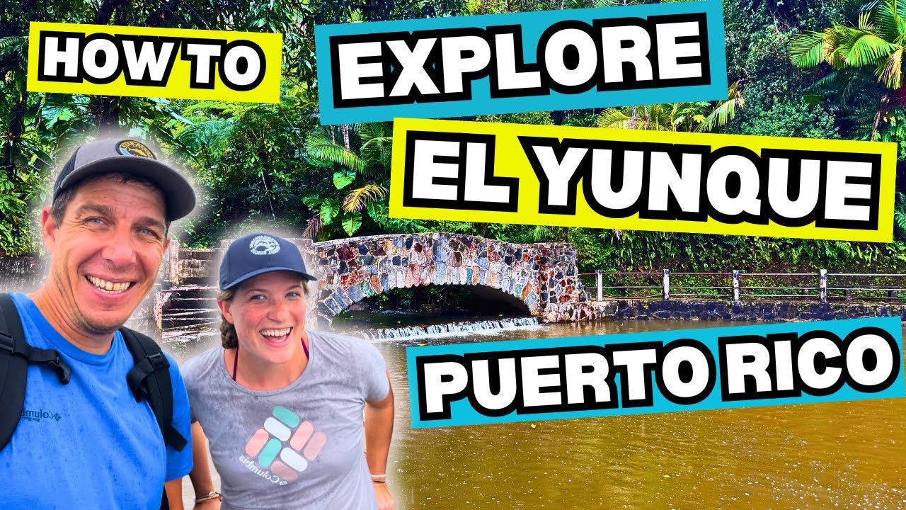 El Yunque Rainforest 🇵🇷 Quick Travel Guide on How to Explore Puerto Rico’s Natural Treasure