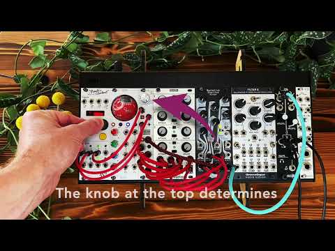 FKMG - Klima Atmospheric Logic Module | Reverb Canada