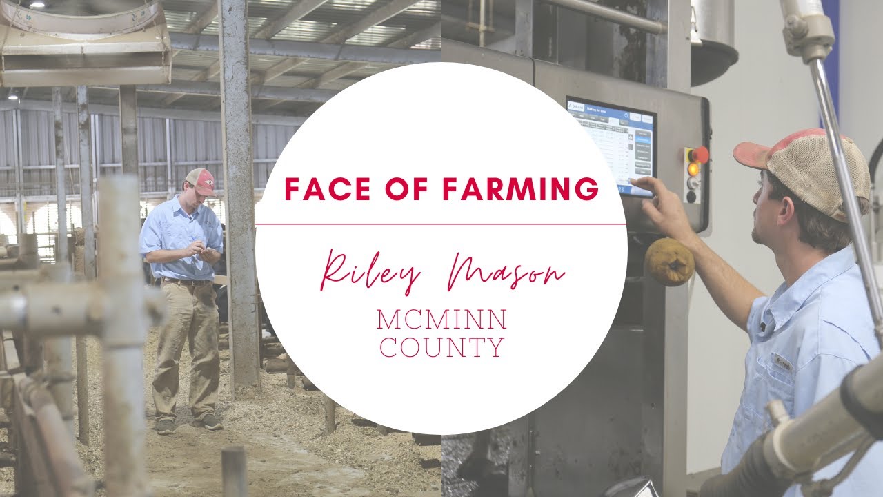 Riley Mason, McMinn County