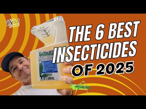 Top 6 Best Insecticides of 2025 According to an Exterminator