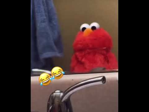 funny videos Elmo memes