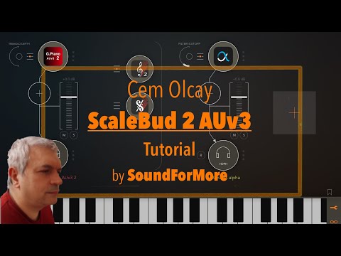 SFM Tutorials: ScaleBud 2 AUv3 Midi Keyboard — Loopy Pro Forum