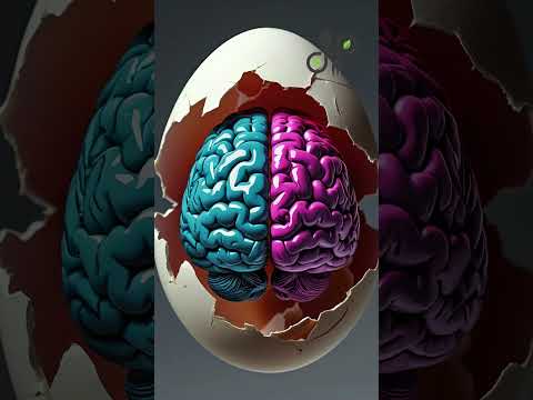Eggs Boost Brain Power #viralshorts #healthydiet