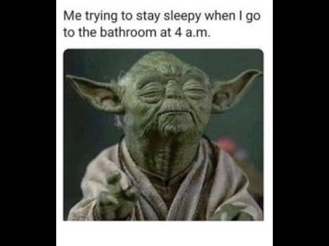 The Hilarious World of Memes: Laugh Out Loud with These Funny Gems