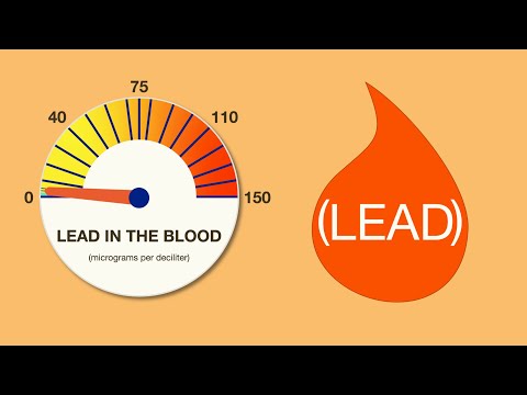 What to Do If You’re Worried about Lead Exposure | AAP