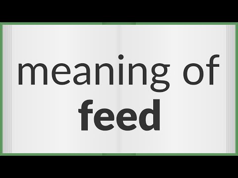 Feed | meaning of Feed
