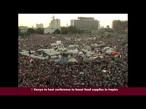 Tahrir square through the eyes of a resident