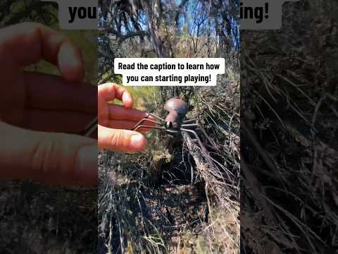 Download the Geocaching app, navigate to a green icon, read the hint for help, then sign the log! π