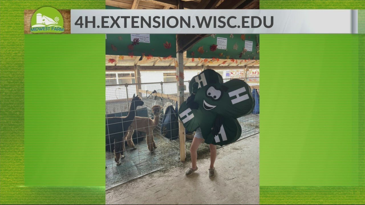 4-H Enrollment now open