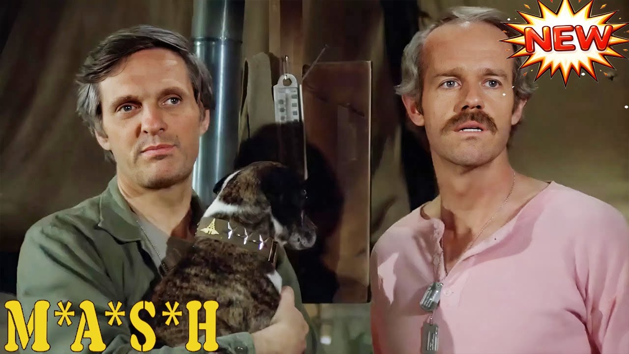 M*A*S*H Full Episode | Season 12 Ep04 - Give 'Em Hell, Hawkeye | Best Comedy & Drama Movies 2025