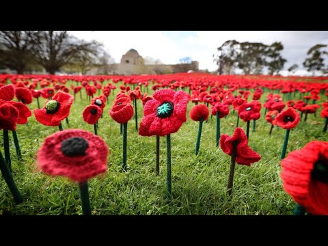 Remembrance Day is a chance to 'remember' and 'be grateful'
