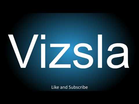 How to correctly pronounce the Dog Breed in Hungarian and English - Vizsla.