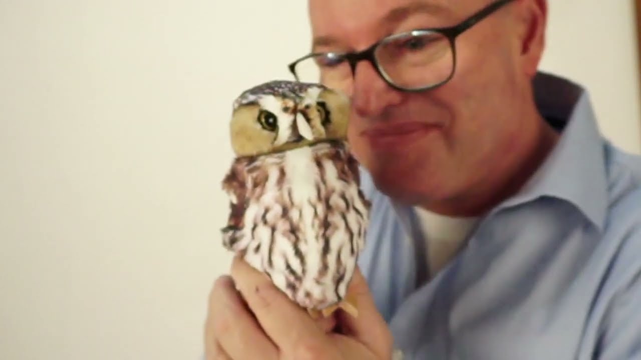 Folkmanis® Pygmy Owl Puppet Demo