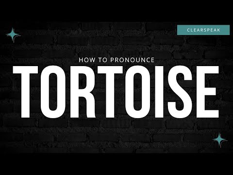 How to Pronounce Tortoise