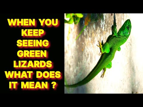 WHEN YOU KEEP SEEING GREEN LIZARDS WHAT DOES IT MEAN ?