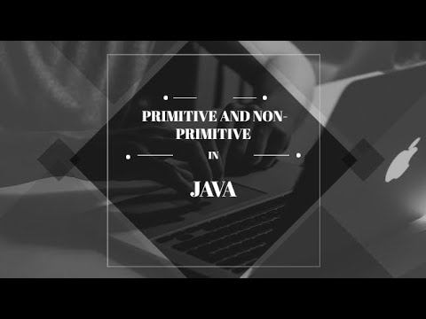 Difference between Primitive and non-primitive