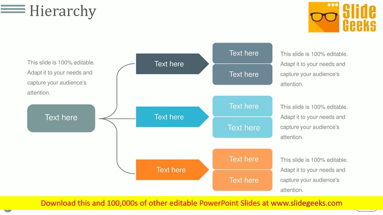 Hierarchy Ppt Powerpoint Presentation Layouts Background Image