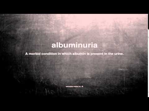 What does albuminuria mean