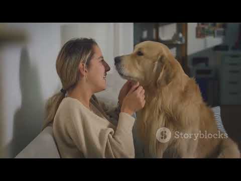 10 Amazing Facts About Dogs You Probably