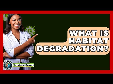 What Is Habitat Degradation? - Earth Science Answers